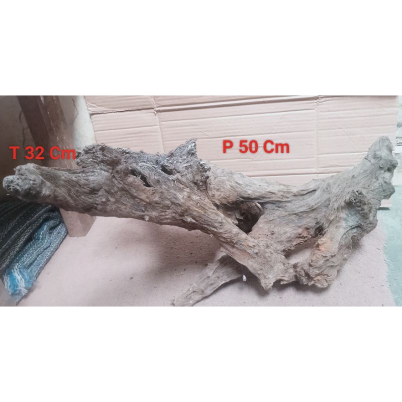 Jual kayu rentek ,Paludarium, & aquascape | Shopee Indonesia