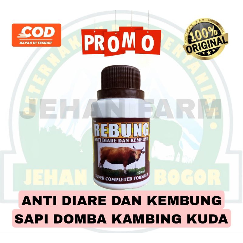 Jual Rebung Sapi 120 ml Obat diare dan kembung sapi kambing domba kuda ...