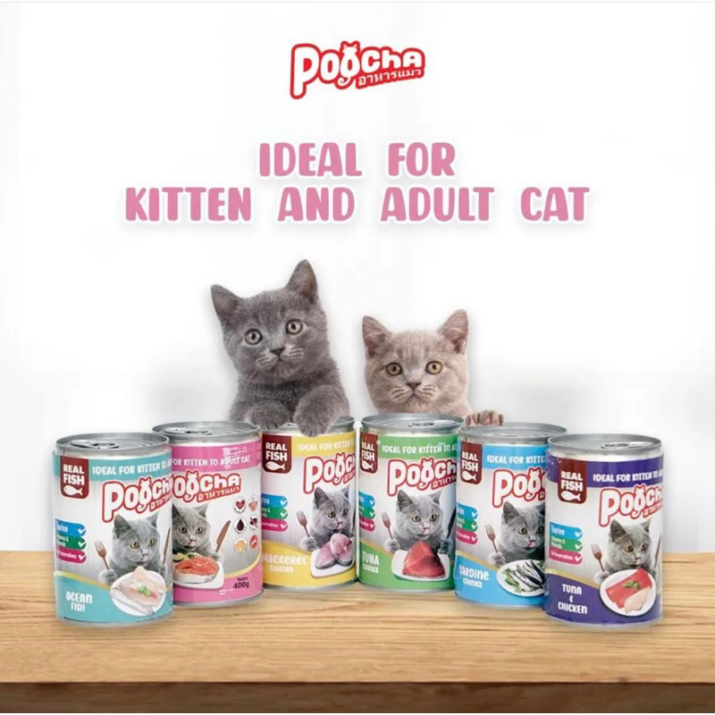 Jual POOCHA KALENG MAKANAN KUCING WETFOOD MURAH ALL STAGE FOR KITTEN ...