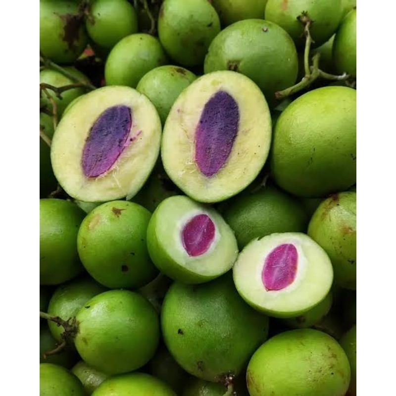 Jual Buah Gandaria jatake 500 / 1 kg | Shopee Indonesia