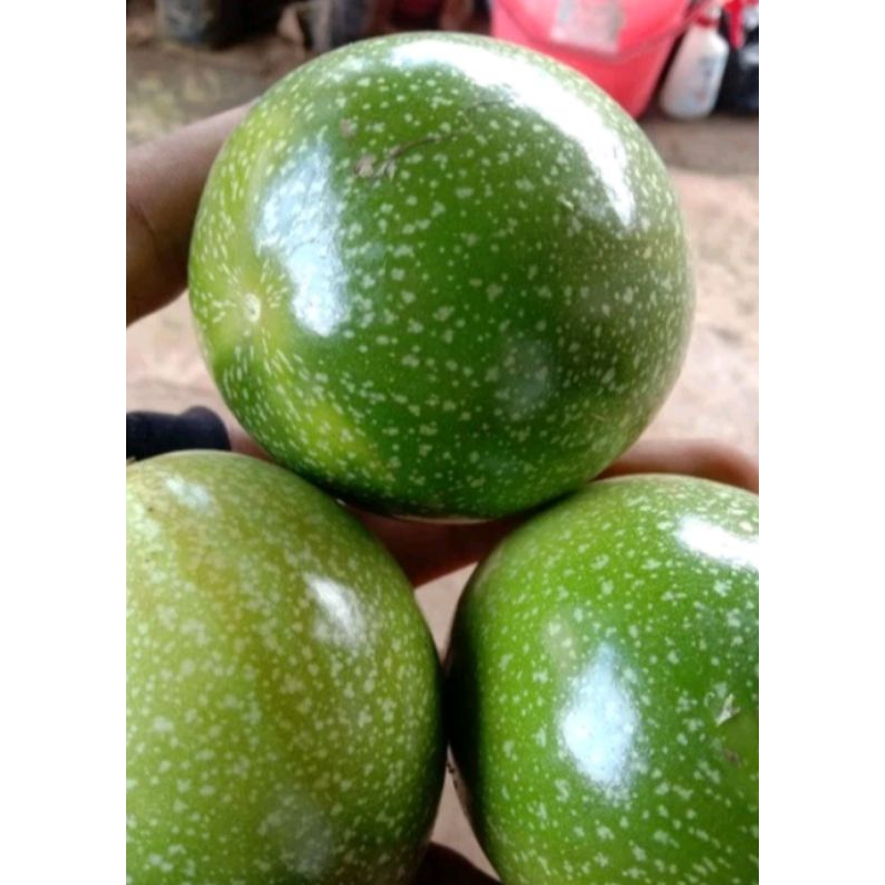 Jual BUAH MARKISA ASAM SEGAR per 1 kg | Shopee Indonesia