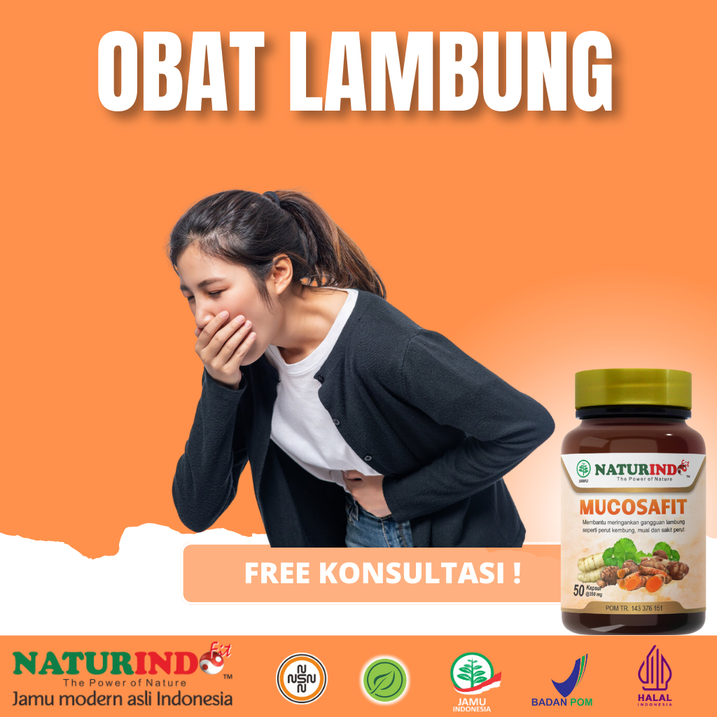 Jual Obat Lambung Kronis Asam Lambung Paling Ampuh Herbal Maag ...