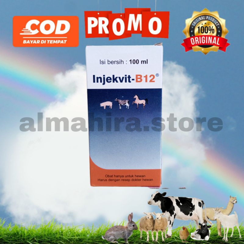 Jual INJEKVIT B12 100 ml MEDION Obat B12 Untuk Perbaiki Kondisi Tubuh ...