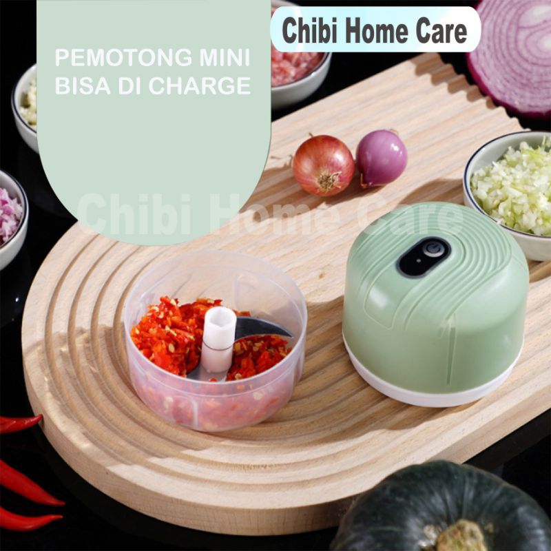 Jual Chopper Blender Portable Gilingan Mini Bumbu dan daging dengan USB ...