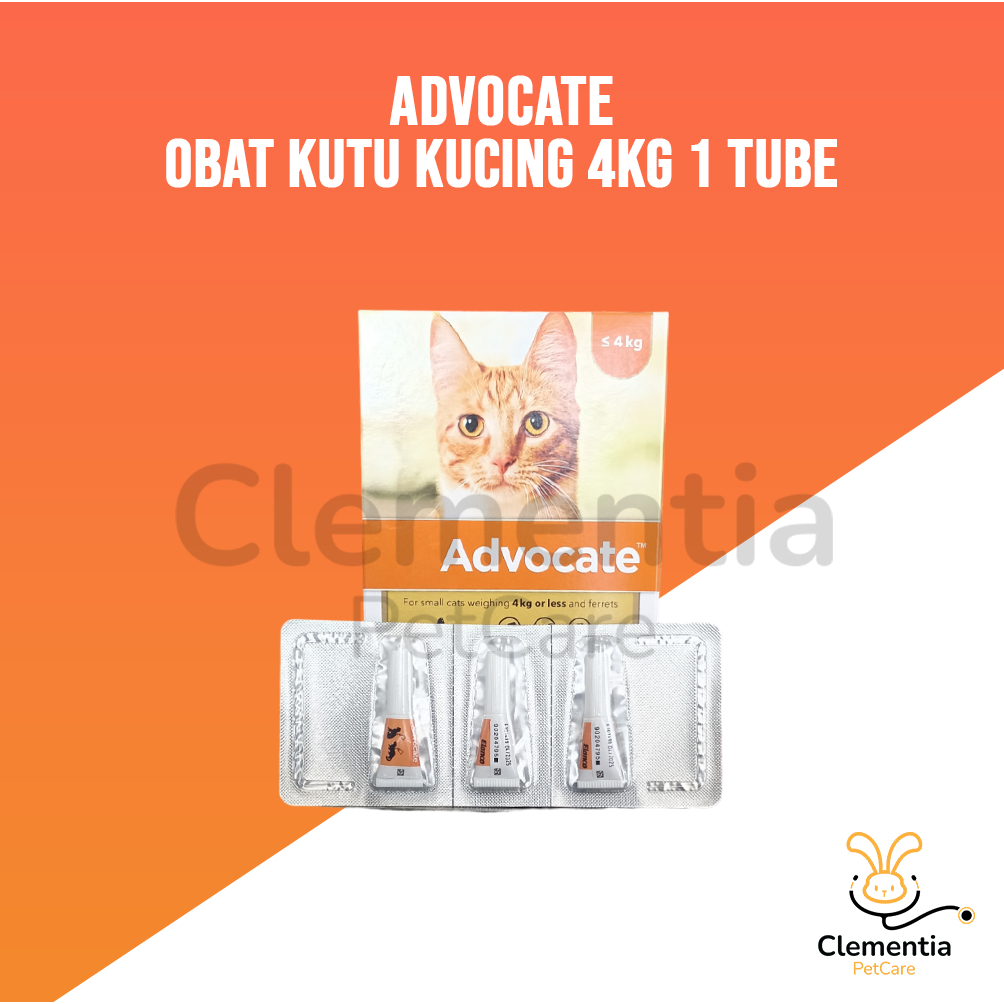 Jual Obat Kutu Parasit Kucing ADVOCATE Spot on solution for cat up to ...