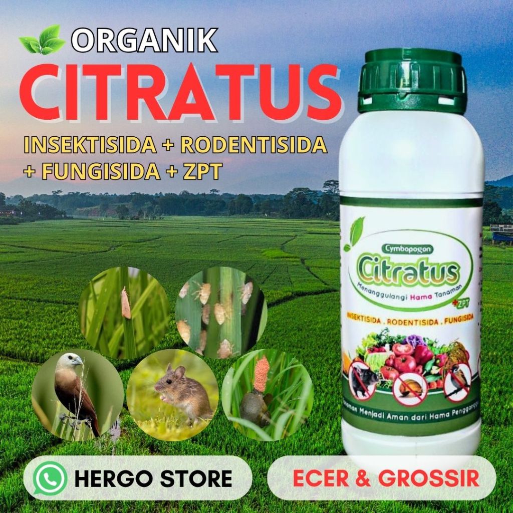 Jual Pestisida Organik CITRATUS + ZPT + INSEKTISIDA + RODENTISIDA ...