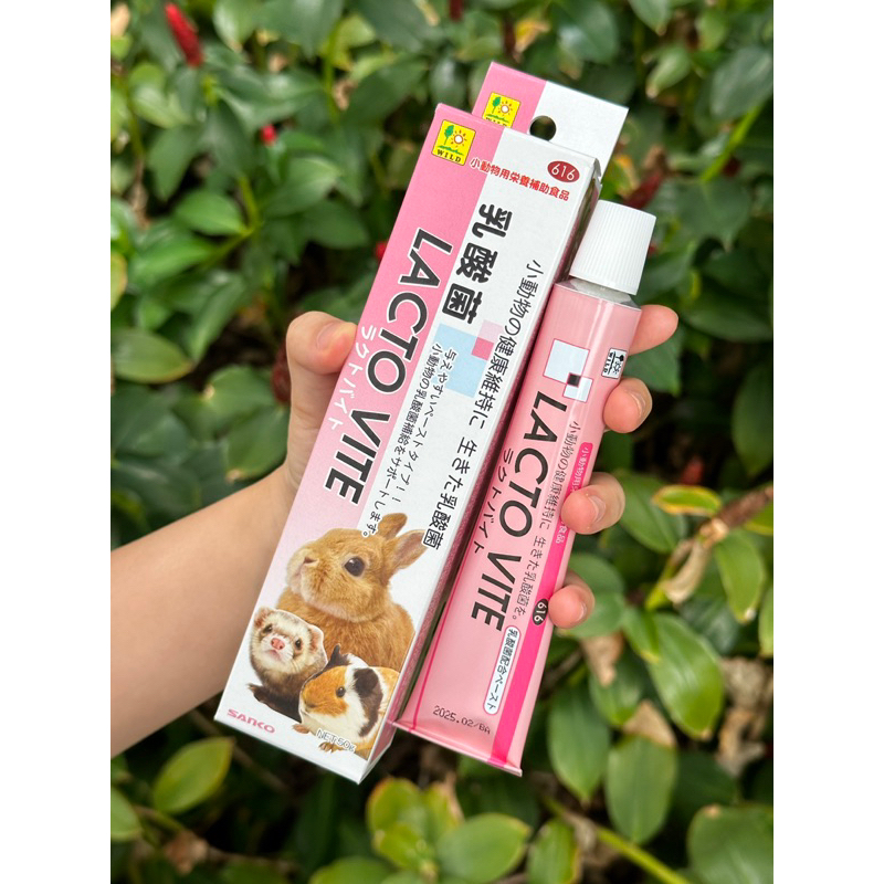 Jual SANKO Lacto Vite For Rabbits / Small Animals Vitamin Digestive ...