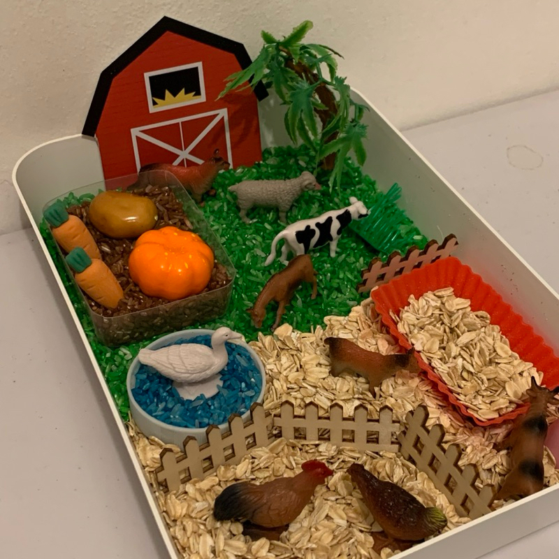 Jual Farm Sensory Play | Farm Sensory Bin | Mainan Edukasi Tema ...