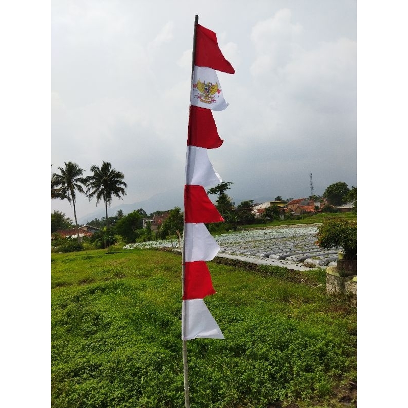 Jual bendera umbul-umbul gergaji bendera indonesia bendera merah putih bendera warna-warni ...