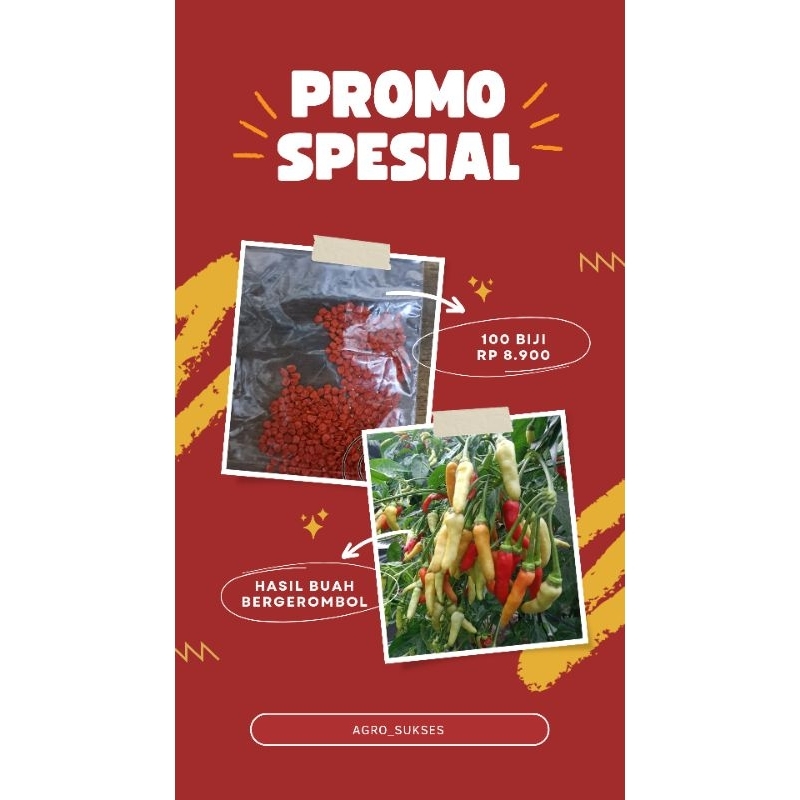 Jual Biji | Benih Cabai | Cabe Rawit Merah Unggul | Cabe super Re-Pack ...