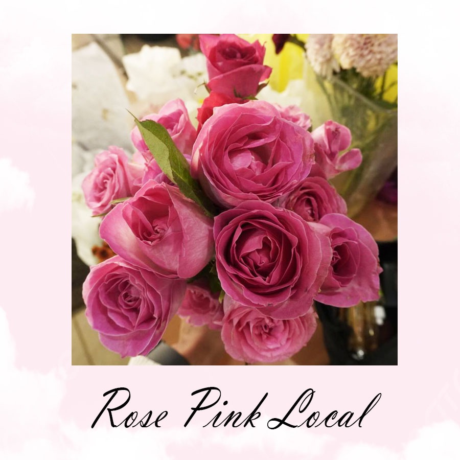 Jual Supplier Mawar Bali / Bunga Potong Batangan/ Fresh Flower/ Mawar ...