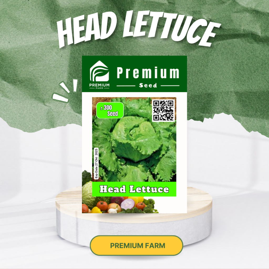 Jual LMR PREMIUM FARM - Benih Biji Head Lettuce Selada Iceberg Crop ...