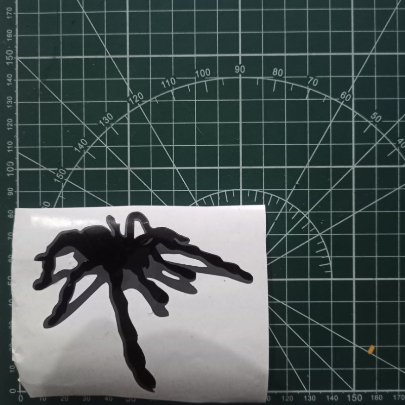 Jual Stiker Cutting Laba-laba | Shopee Indonesia