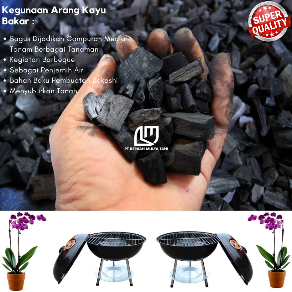 Jual 1 Kg Arang Kayu Bakar Media Tanam Bunga Anggrek | Untuk Barbeque Kualitas Super | Shopee ...