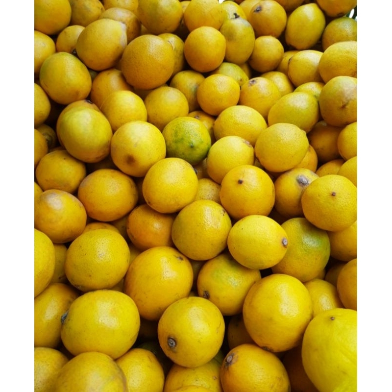 Jual lemon lokal 1kg | Shopee Indonesia