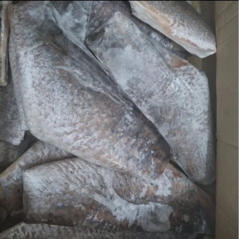 Jual Fillet Ikan Baramundi / Siakap | Shopee Indonesia