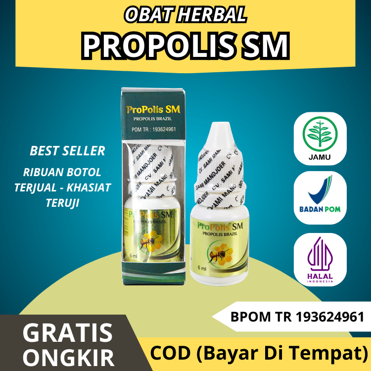 Jual Obat Epilepsi, Kejang-Kejang Dewasa Dan Anak Tanpa Demam, Gangguan Saraf Otak, Ayan ...