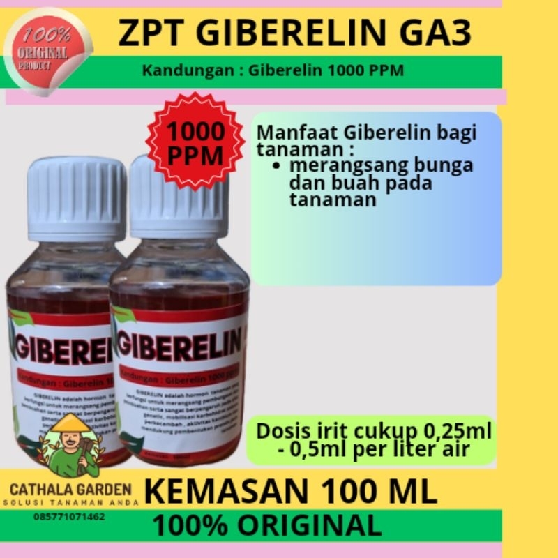 Jual ZPT HORMON GIBERELIN GA3 1000 ppm KEMASAN 100 ML | HORMON TANAMAN ...