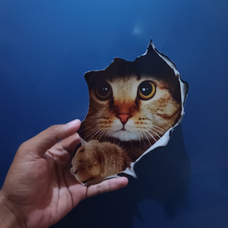Jual Stiker kucing | Shopee Indonesia