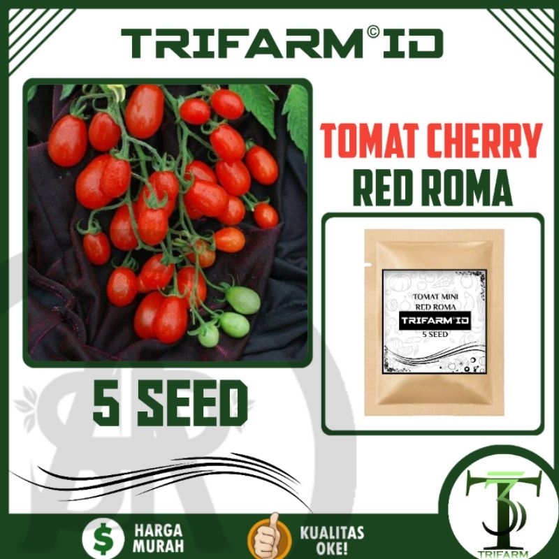 Jual TRIFARM 5 Biji Benih Bibit Tomat Cherry Red Roma Tomat Ceri Kemasan Ziplock | Shopee Indonesia
