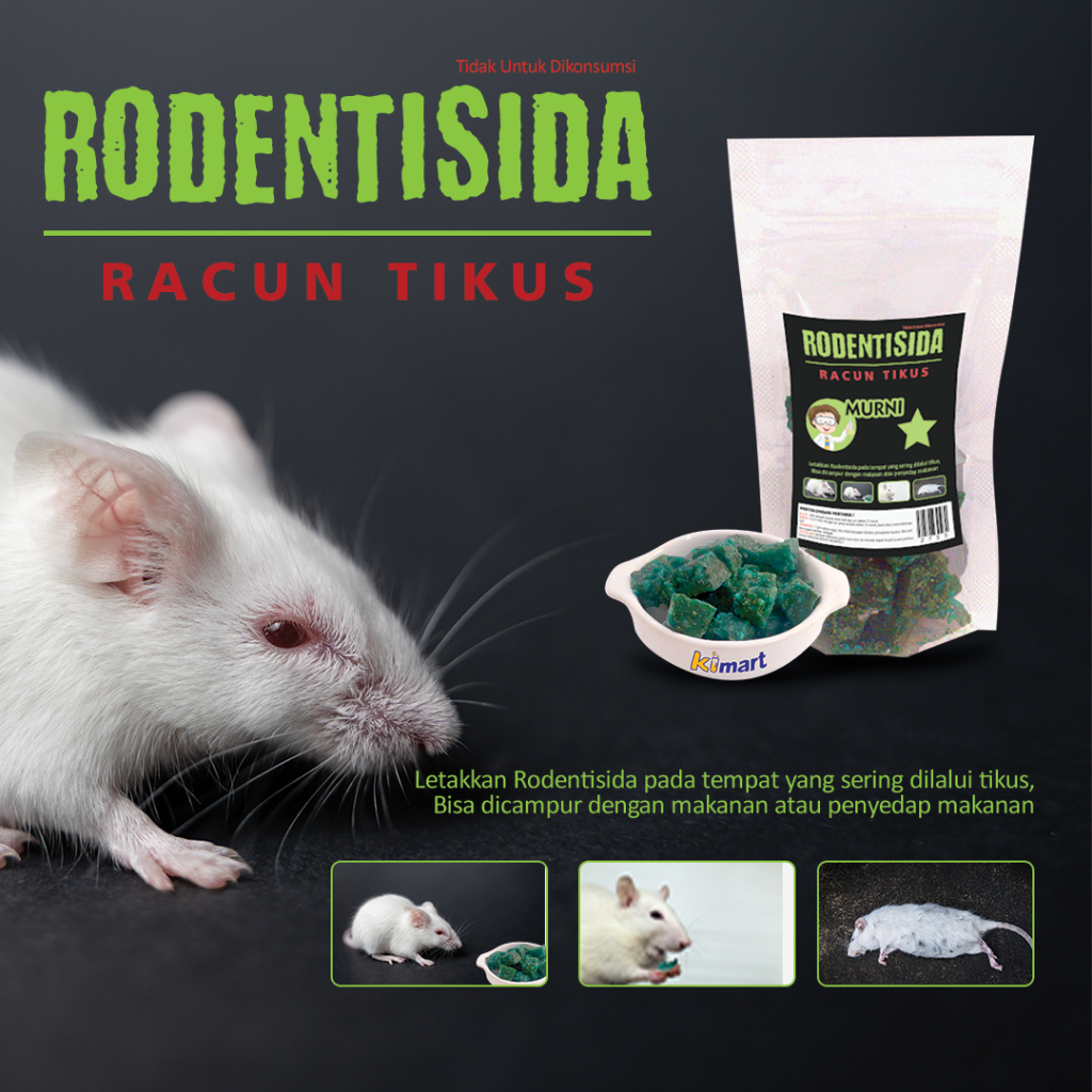 Jual RODENTISIDA Racun Tikus asli pembasmi tikus 100GR | Shopee Indonesia