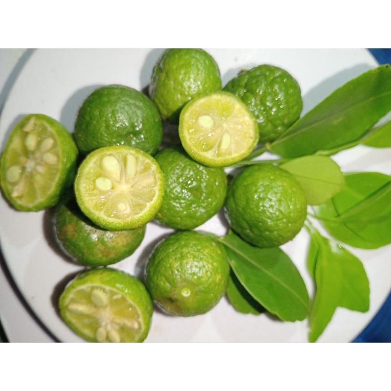 Jual JERUK LIMAU / JERUK BAKSO ACI 250gr | Shopee Indonesia