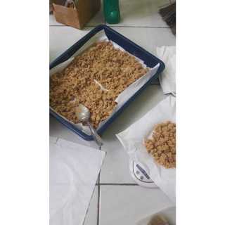 Jual telur bsf fresh 100gram telur lalat bsf super telur maggot ...