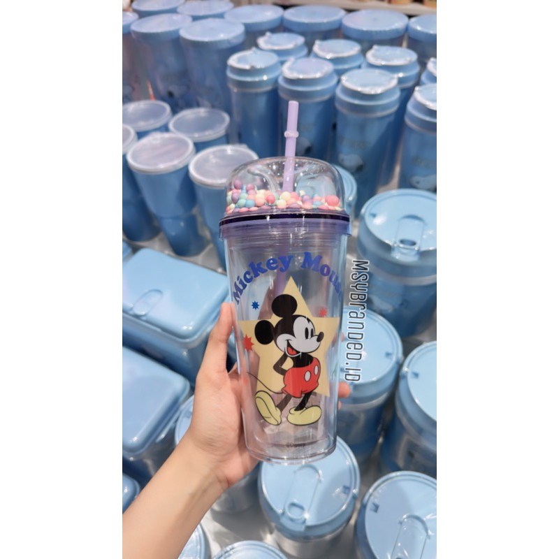 Jual MINISO DOUBLE WALL WATER BOTTLE PLASTIC TUMBLR BOTOL MINUM MICKEY ...