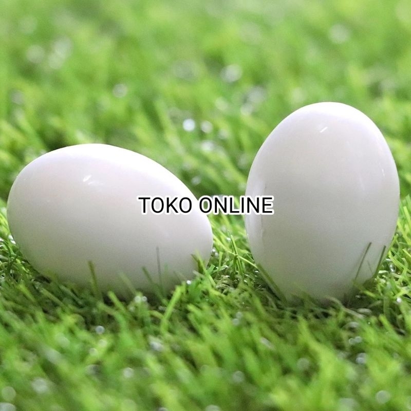 Jual TELUR PALSU MERPATI DORO burung merpati berat sama dengan asli ...