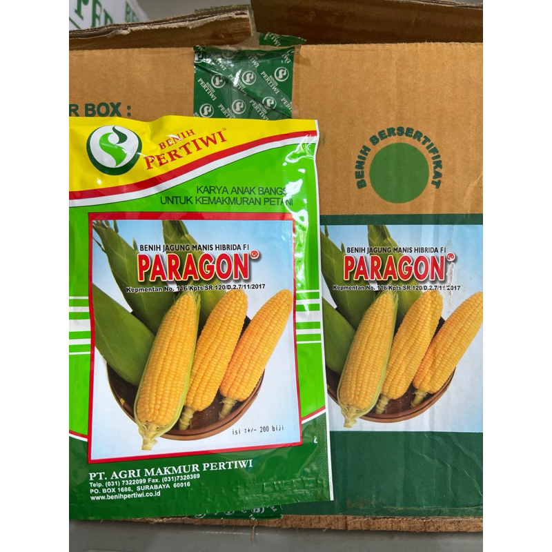 Jual Benih Jagung Manis PARAGON isi -/+ 200biji | Shopee Indonesia