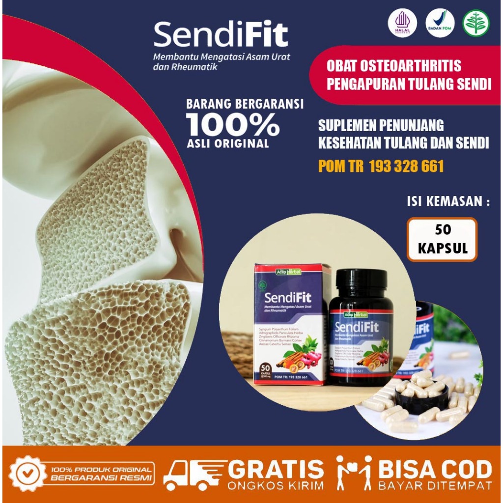 Jual Obat Osteoarthritis (Pengapuran Tulang) Sendi Terasa Sakit Saat ...