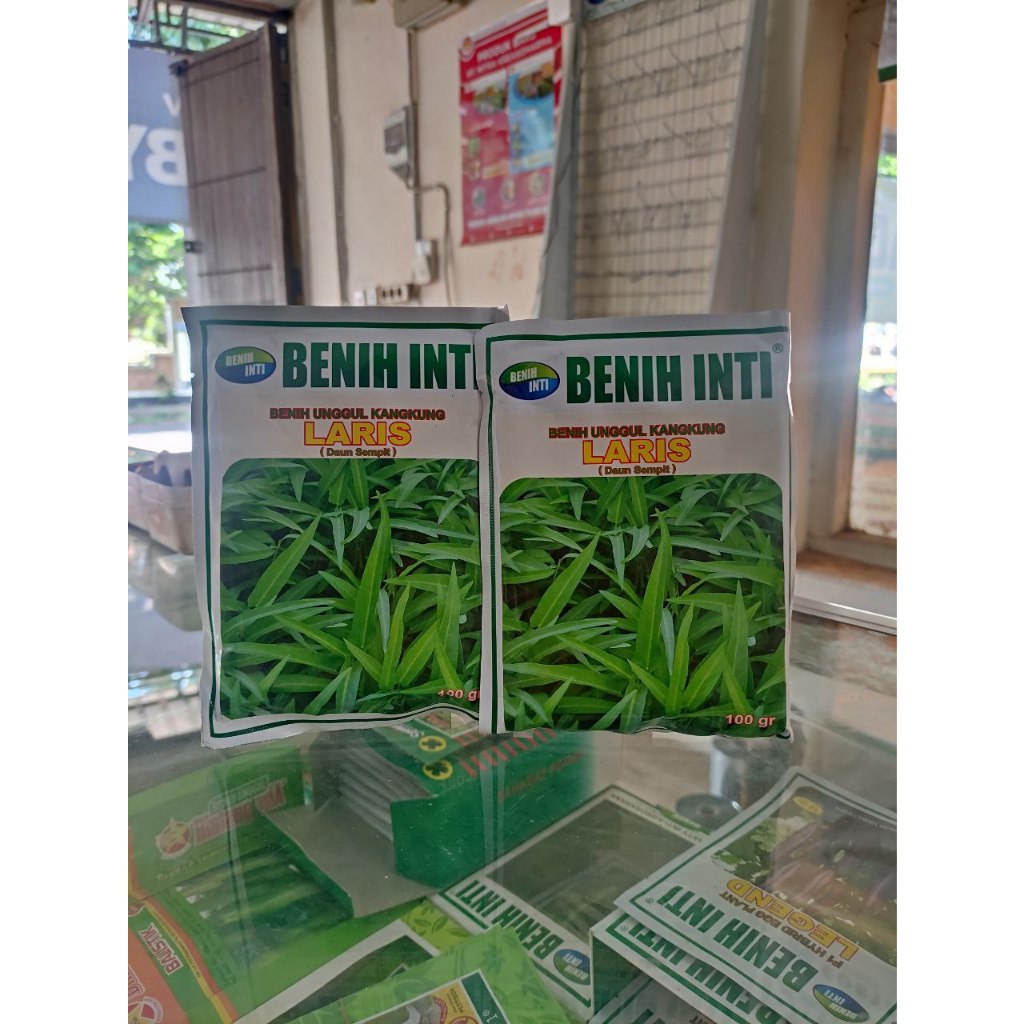 Jual benih kangkung laris benih inti 100gr daun sempit hijau biji bibit ...