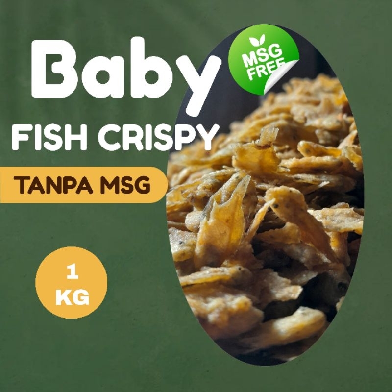 Jual Baby Fish | Baby Fish Crispy | Baby Fish Ikan Crispy 1Kg | Shopee ...