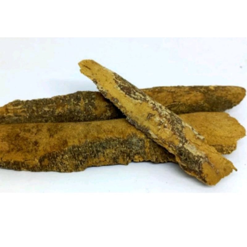 Jual KULIT KAYU LAME KAYU PULE KULIT KAYU | Shopee Indonesia