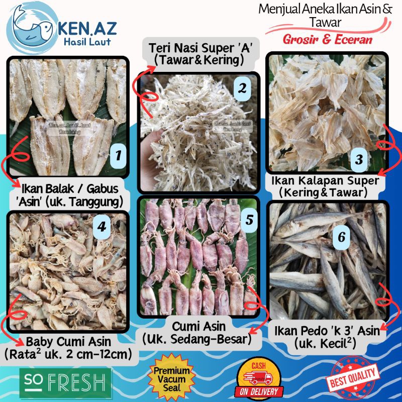 Jual ANEKA IKAN ASIN-TAWAR (KHUSUS) 1 KG / KHAS REMBANG | Shopee Indonesia