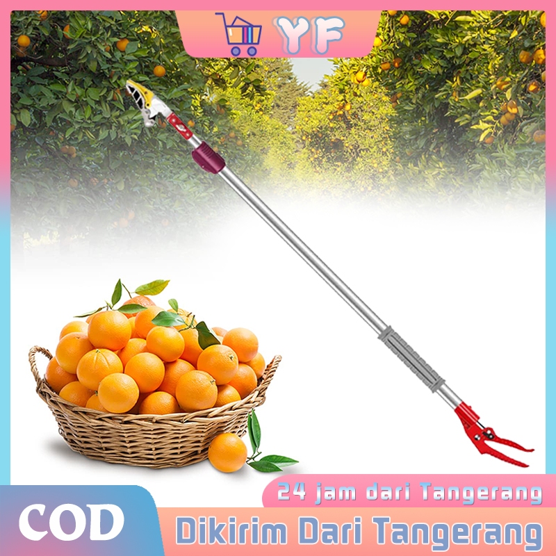 Jual 3M 4M Alat Potong Dahan / Alat Potong Ranting / Tree Pruner / Pemotong Ranting Pohon Tinggi ...