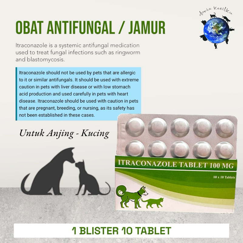 Jual Tablet Anti Jamur 100 MG / Scabies / Fungal / Ringworm - Untuk ...