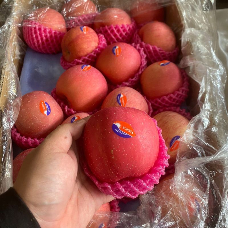 Jual BUAH APEL FUJI RRC FUJI FRESH IMPORT SEGAR MURAH 1 KG | Shopee ...
