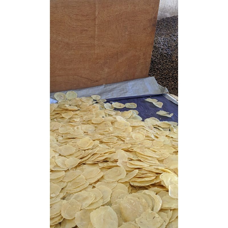 Jual EMPING MELINJO MENTAH ASLI KHAS LIMPUNG ( 500GR) | Shopee Indonesia