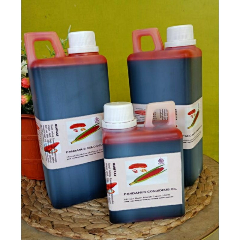 Jual PROMO 1 LITER BUAH MERAH PAPUA | MINYAK BUAH MERAH | Shopee Indonesia