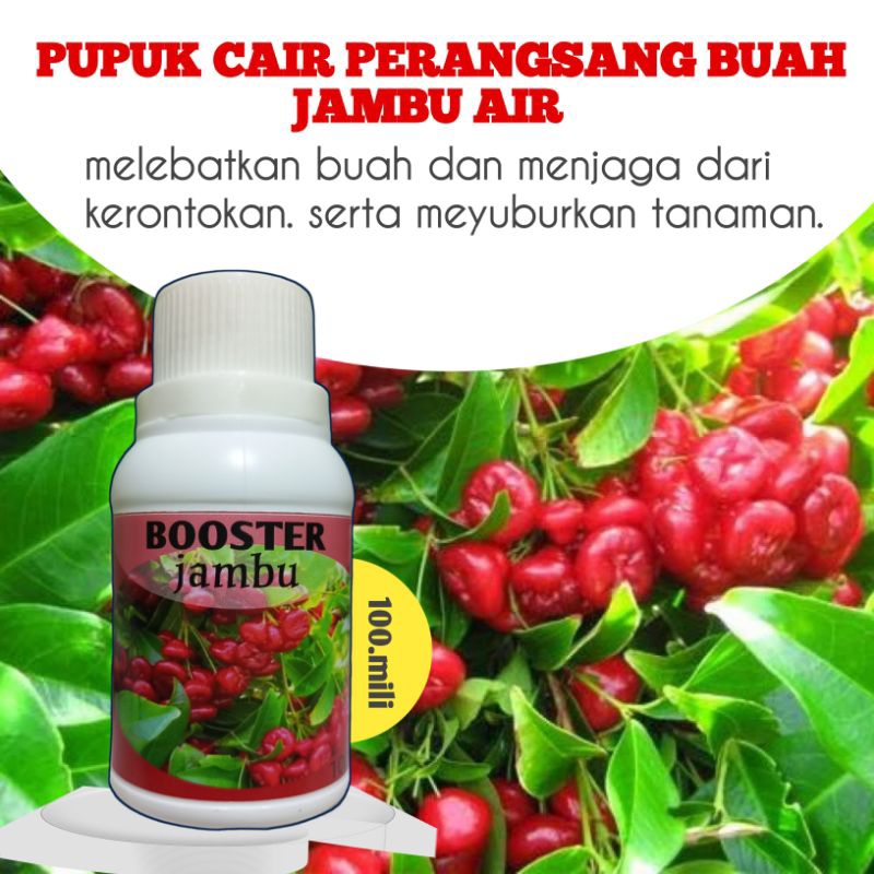 Jual Pupuk booster jambu air nutrisi pelebat buah organik mempercepat pembuahan bunga batang dan ...