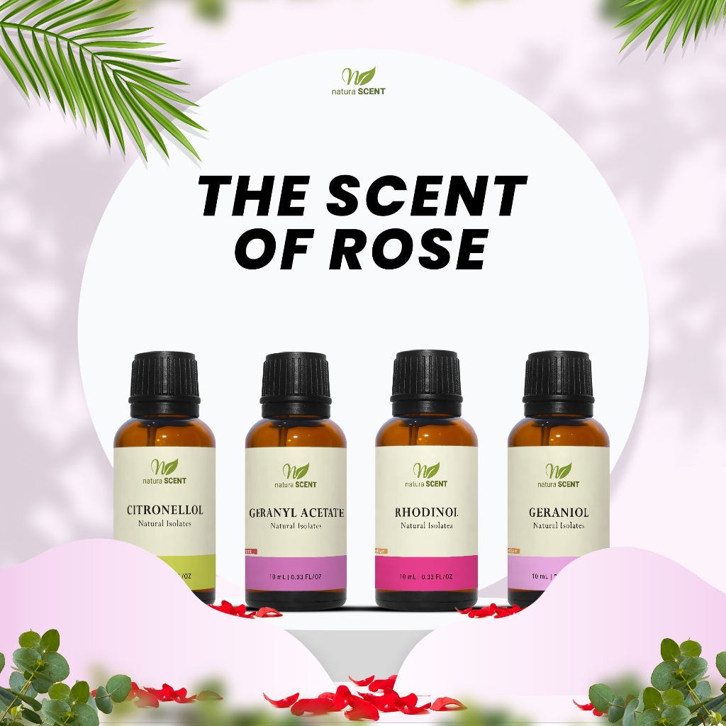 Jual Rose scented Essential Oil Set - Essential oil Wangi Mawar Set ...