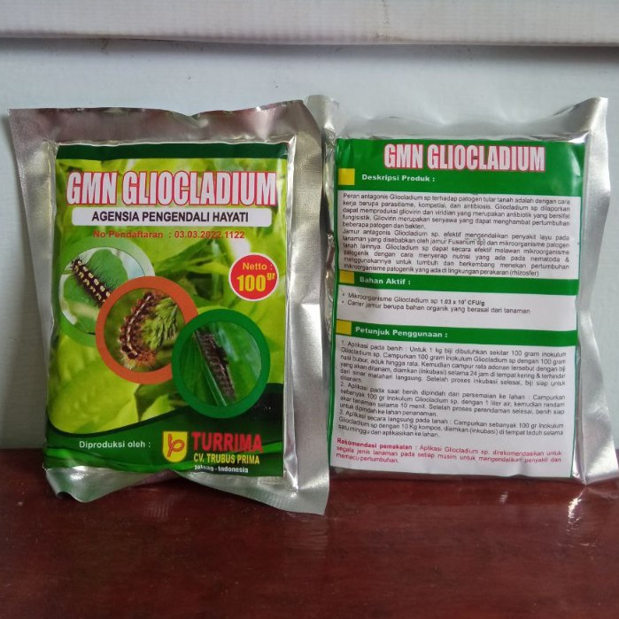 Jual Gliocladium Sp Untuk Busuk Akar, Fungisida Glicocladium Cegah Layu ...