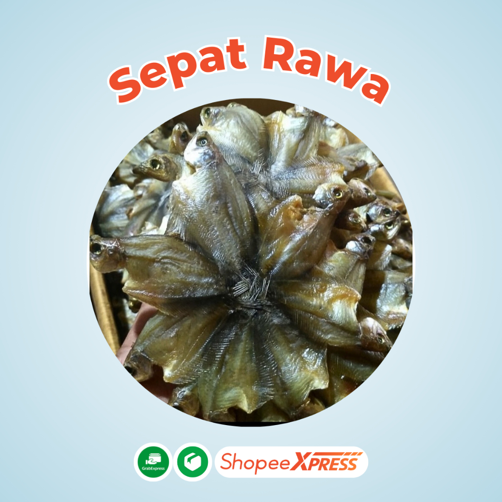 Jual IKAN ASIN SEPAT RAWA BINTAN /SEPAT KUKU/SEPAT BINTANG GRADE A 500G ...