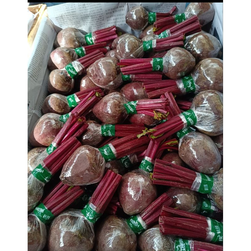 Jual Buah Bit/Beetroot 1 kg FRESH | Shopee Indonesia