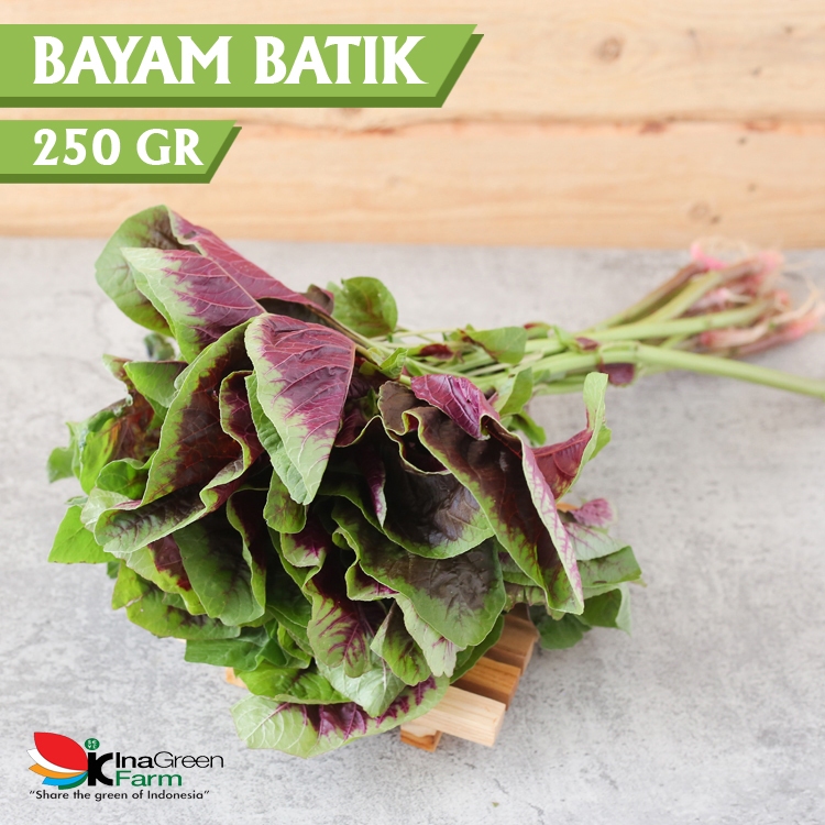 Jual Inagreen Farm Bandung Sayur Bayam Batik Organik 50 Gram | Shopee ...