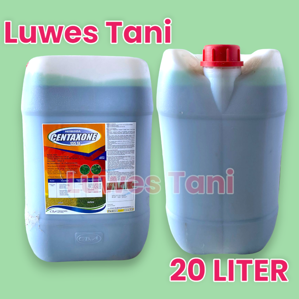 Jual (Galon 20 liter) herbisida CENTAXONE 135 SL 20 LITER | Shopee ...