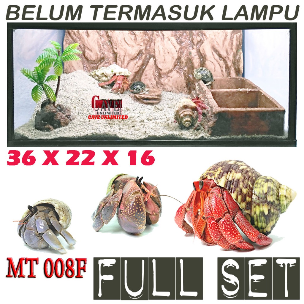 Jual MT008F FULLSET TERRARIUM KELOMANG KEONG UMANG POMPONGAN KANDANG HERMIT CRAB AKUARIUM GEX M ...