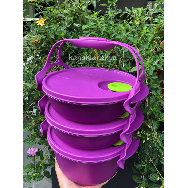 Jual rantang cary all bowl tupperware/rantang ctg tupperware | Shopee ...