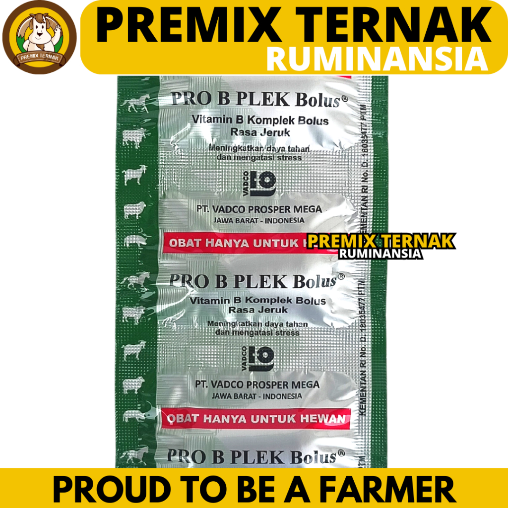 Jual PRO B PLEK BOLUS 1 BOLUS VADCO - Vitamin B kompleks RASA JERUK ...